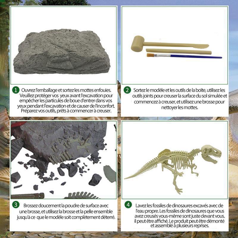 Jouet fossile de dinosaure d'excavation archéologique bricolage – Infiniff